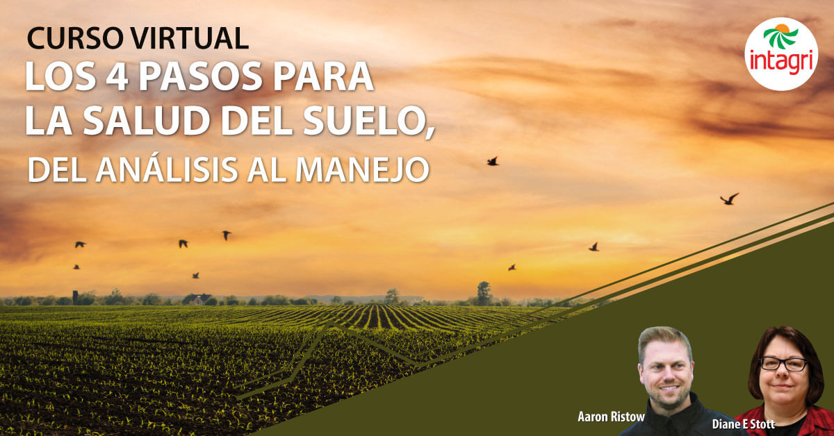 Los 4 pasos para la salud del suelo, del análisis al manejo - Información | Intagri S.C.